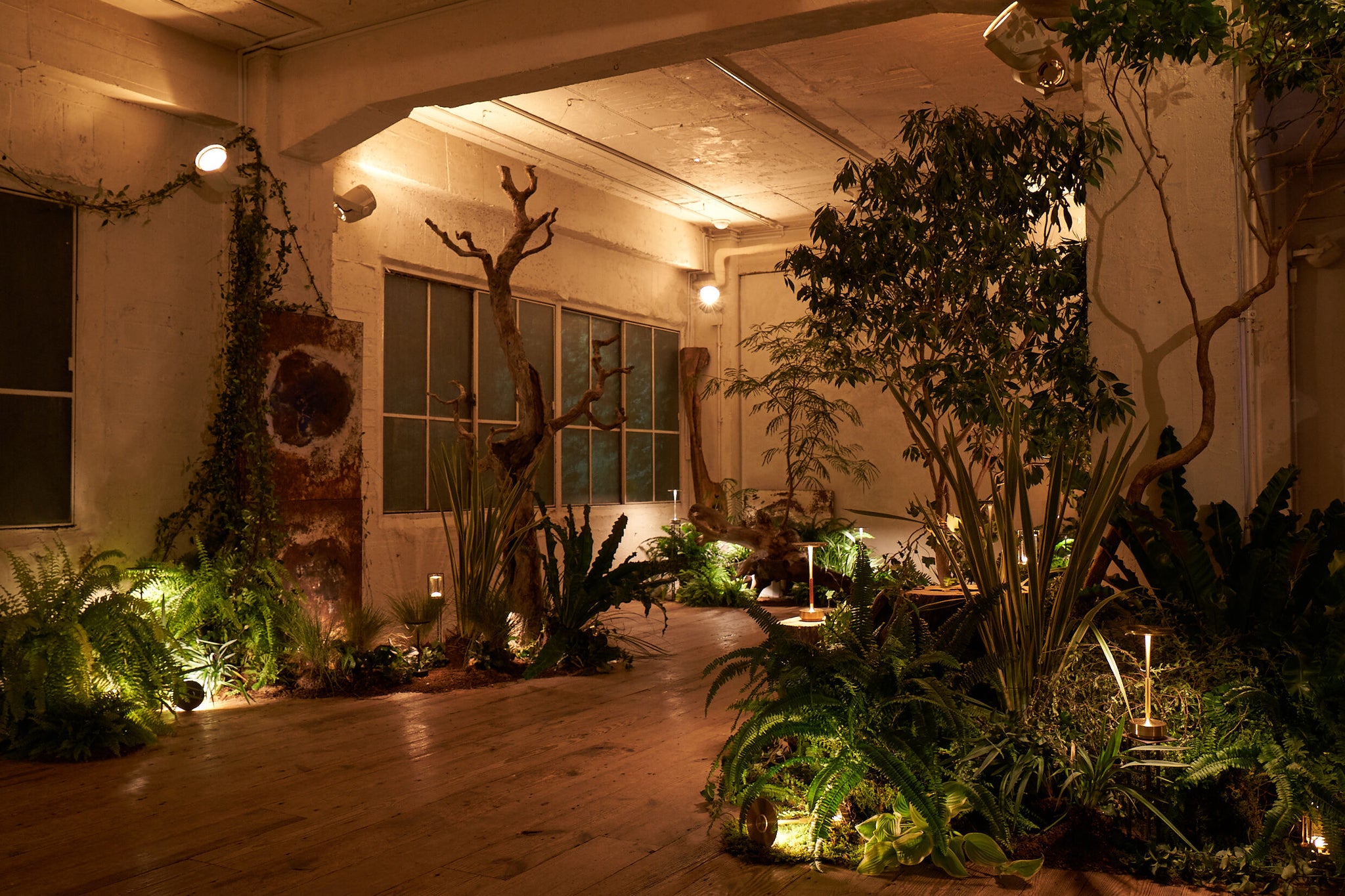 DISSECT》展 （2022） アーカイブムービーおよびインタビュームービー公開】